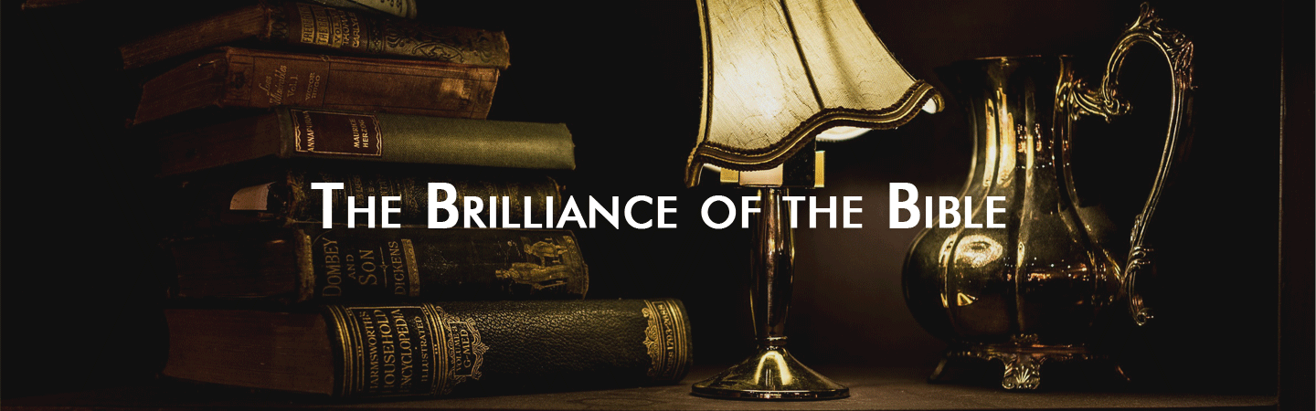 The Brilliance of the Bible | conversant faith