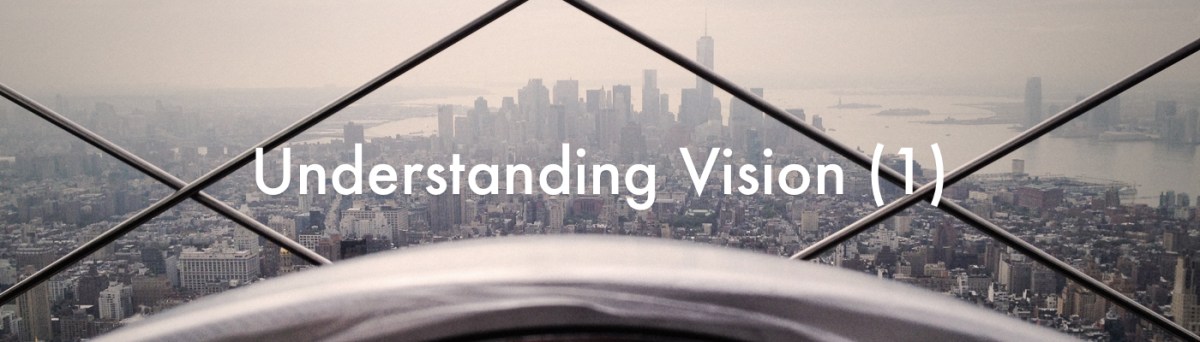 Understanding Vision (1)—Pondering | conversant faith